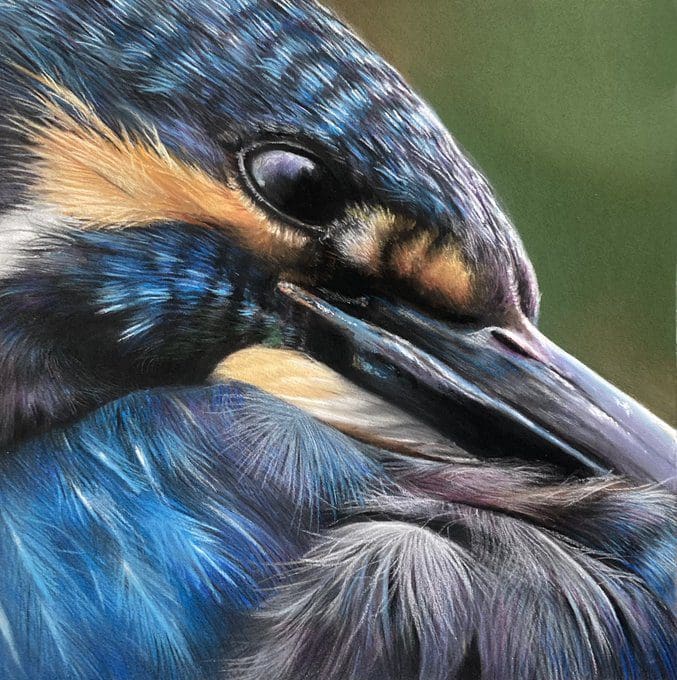 Paul Miller Wildlife Art | creativeartworksblog