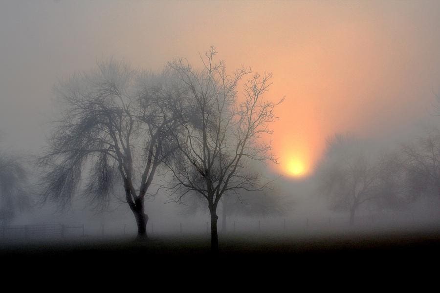 Fog and Sun on a Monday 11-28-2022 | creativeartworksblog