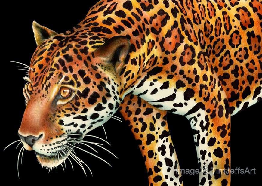 Tim Jeffs Art | creativeartworksblog