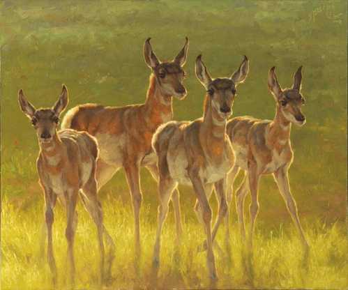 Wildlife Art of Greg Beecham | creativeartworksblog