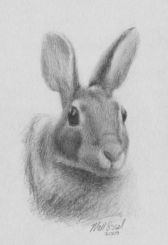 Incredible Drawing | creativeartworksblog