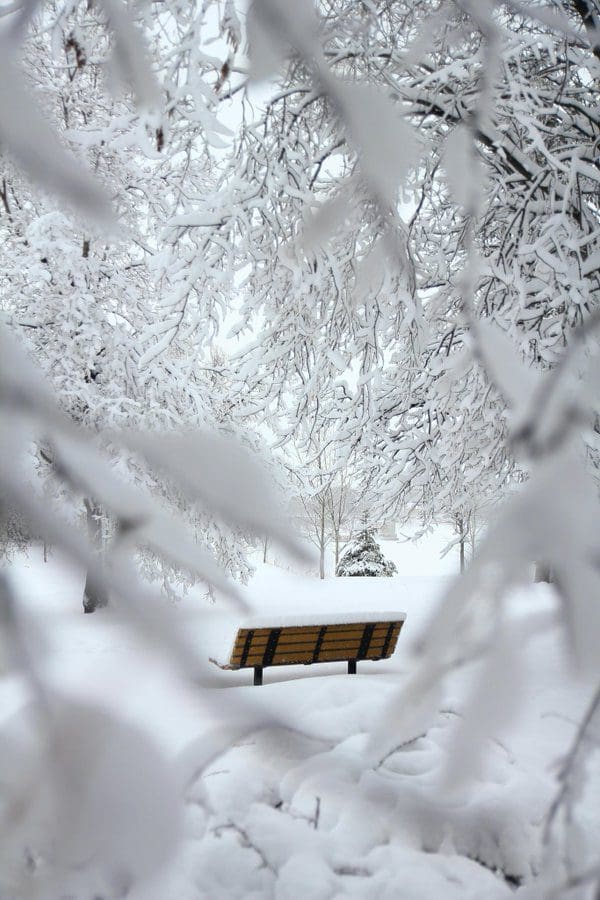 Snow Photography | creativeartworksblog