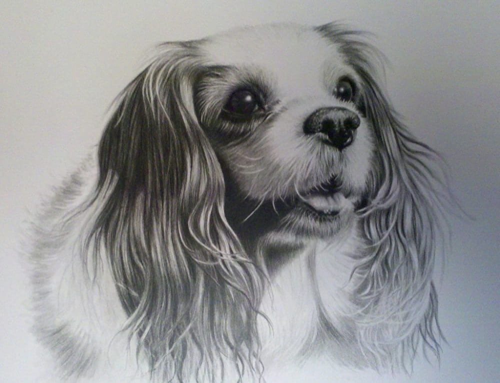 The Art of Glynnis Miller | creativeartworksblog
