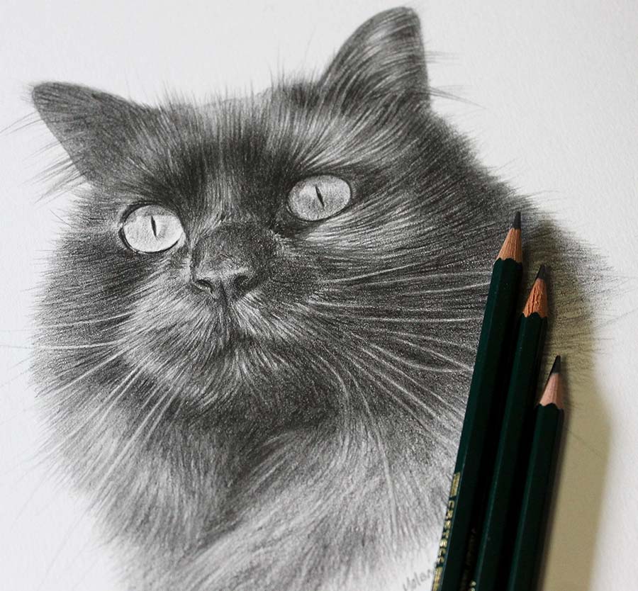 More Pencil Drawings | creativeartworksblog