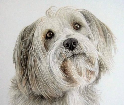 Terrific Drawings | creativeartworksblog