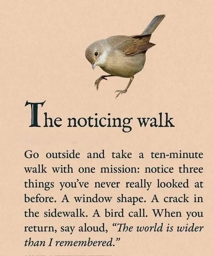 The Noticing Walk | creativeartworksblog