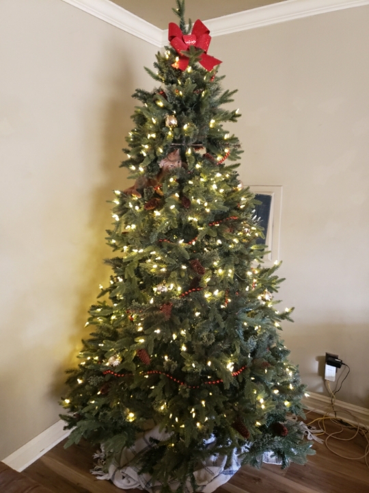 Christmas for Sunny | creativeartworksblog