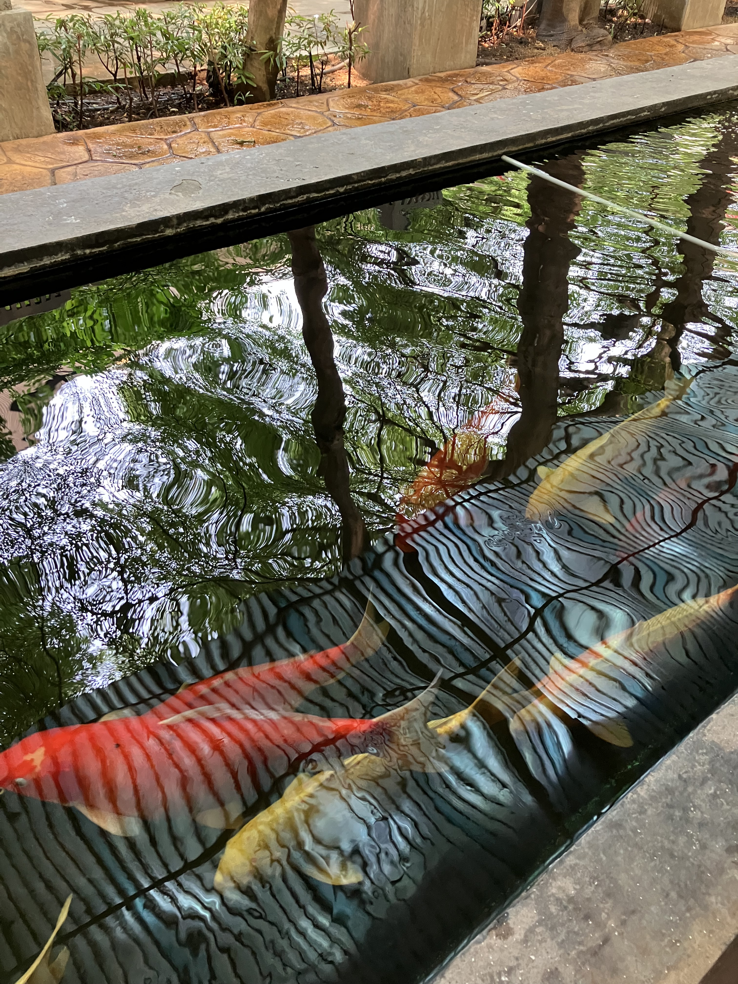 Monday thoughts 1-19-2026 | creativeartworksblog