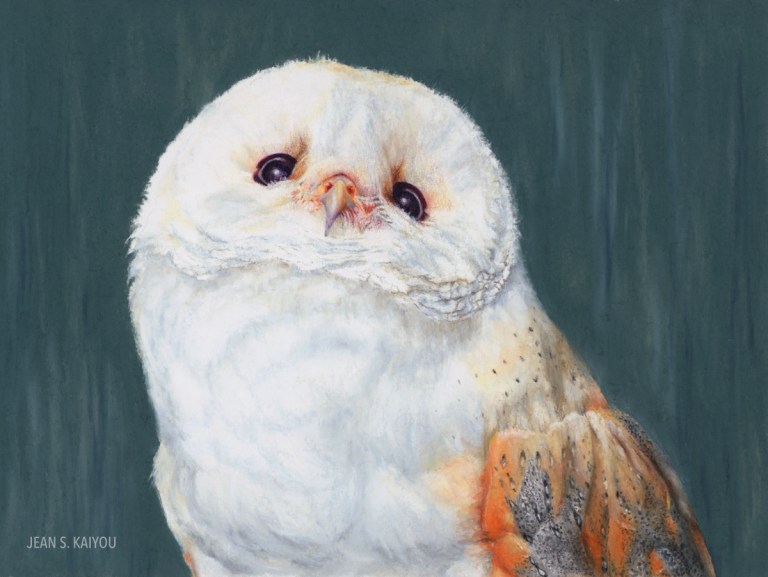 “Unfinished Sketchbook” on Substack – @jeanskaiyou on Substack ...